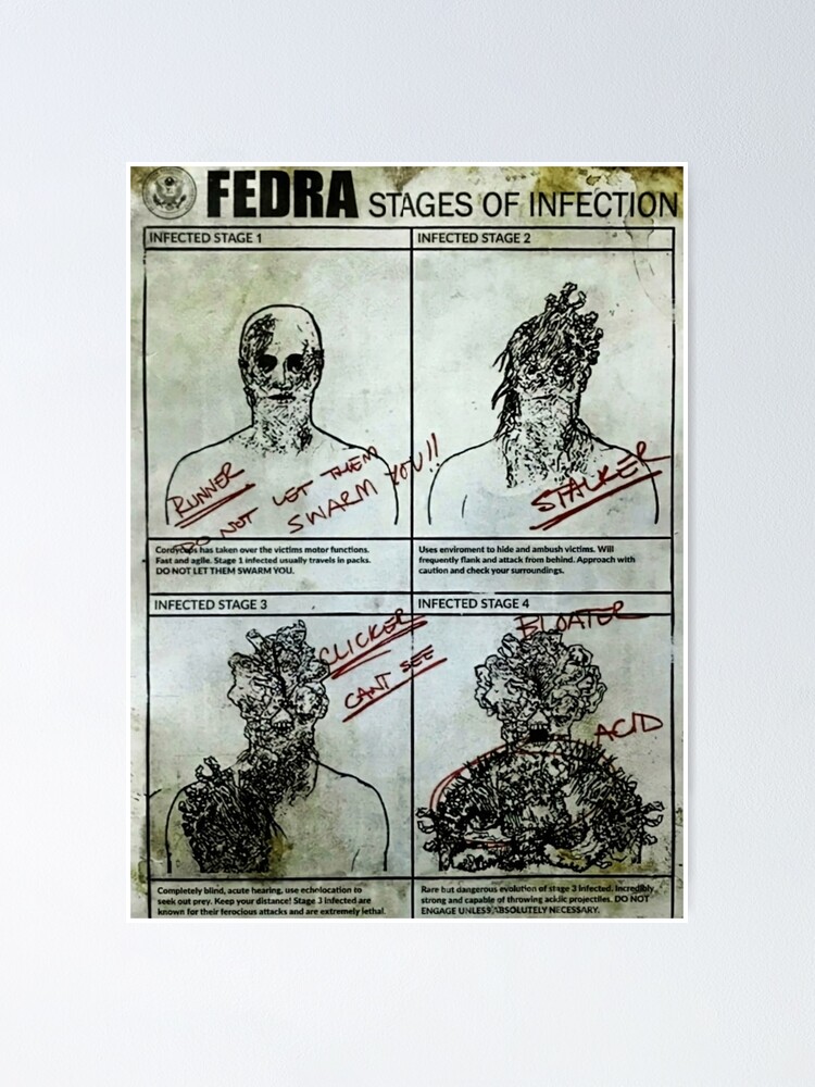 FEDRA Stages of Cordyceps Infection, The Last of Us Poster verkauft von ...