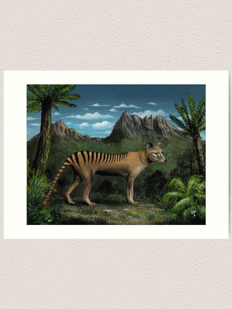 "Tasmanian Tiger / Thylacine" Art Print for Sale by Sabistar | Redbubble