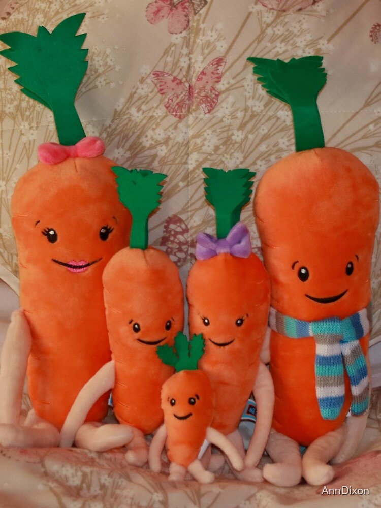 "Carrot Family ( Kevin, Katie, Chardonnay, Jasper & Baby Carrot ...