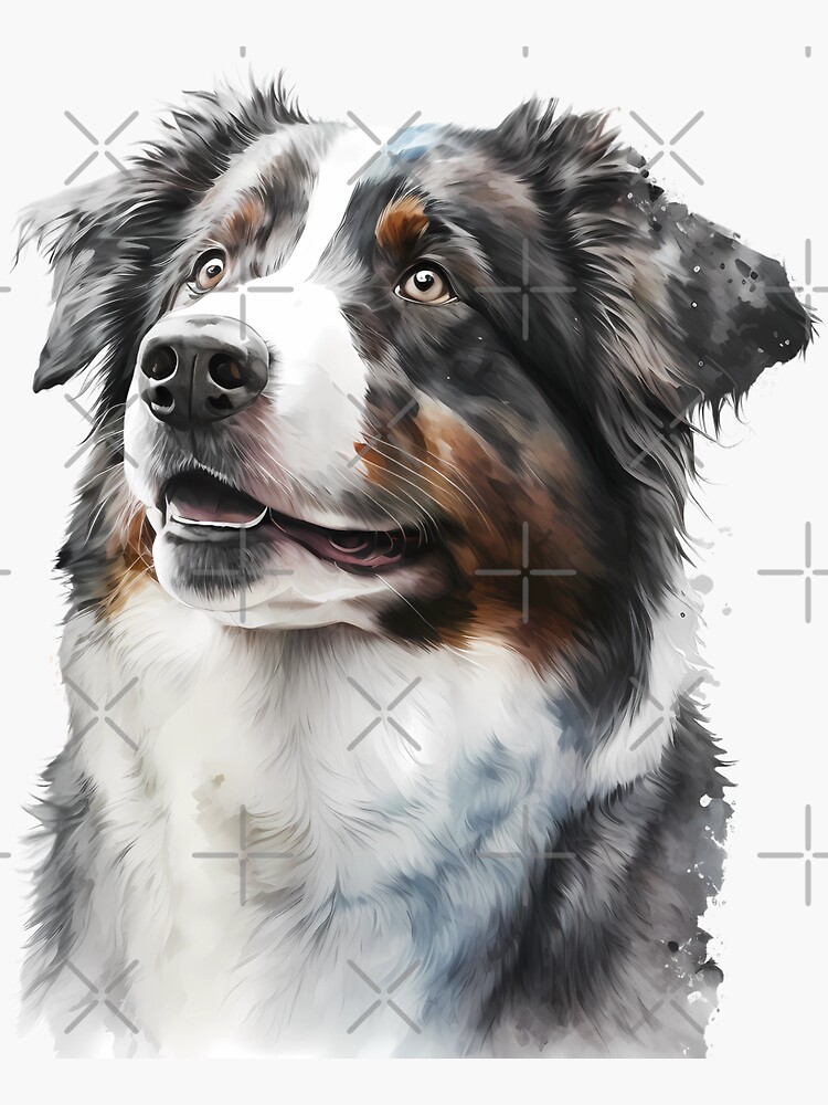 "Australian Shepherd Dog Watercolor Portrait " Sticker for Sale by ...