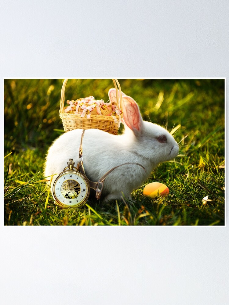 "Delivery easter bunny." Poster for Sale by JAY-GRAPHICS | Redbubble