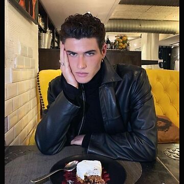 "Zade Meadows" Sticker for Sale by Vignette2323 | Redbubble