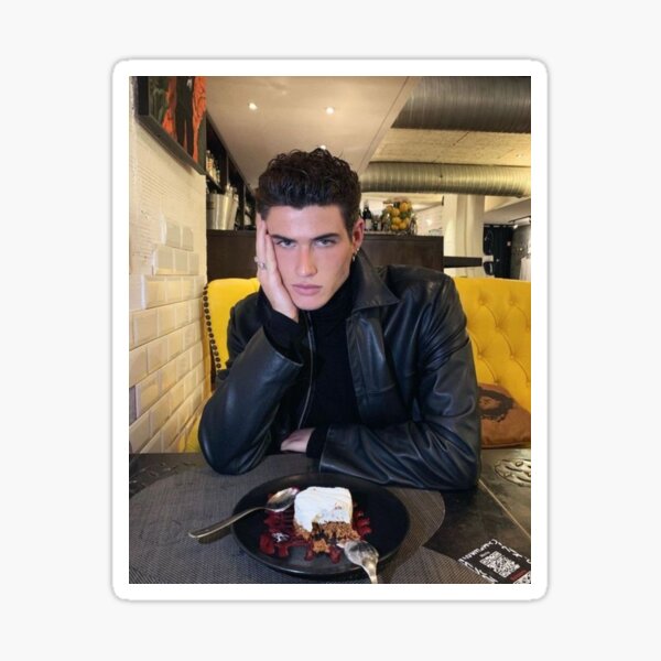 "Zade Meadows" Sticker for Sale by Vignette2323 | Redbubble