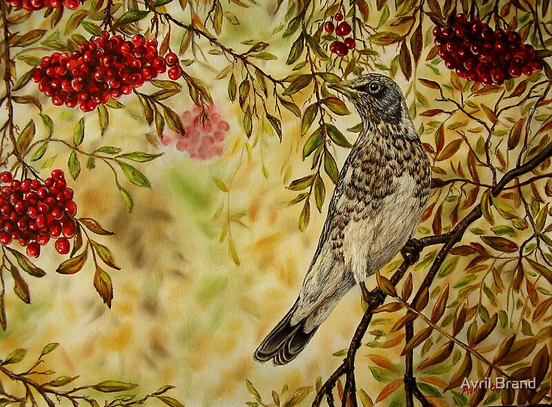 ""Fieldfare" - Oil Painting" by Avril Brand | Redbubble
