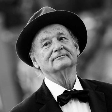 "Bill Murray" Sticker for Sale by itarepelita | Redbubble