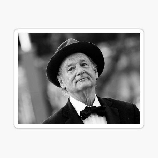 "Bill Murray" Sticker for Sale by itarepelita | Redbubble