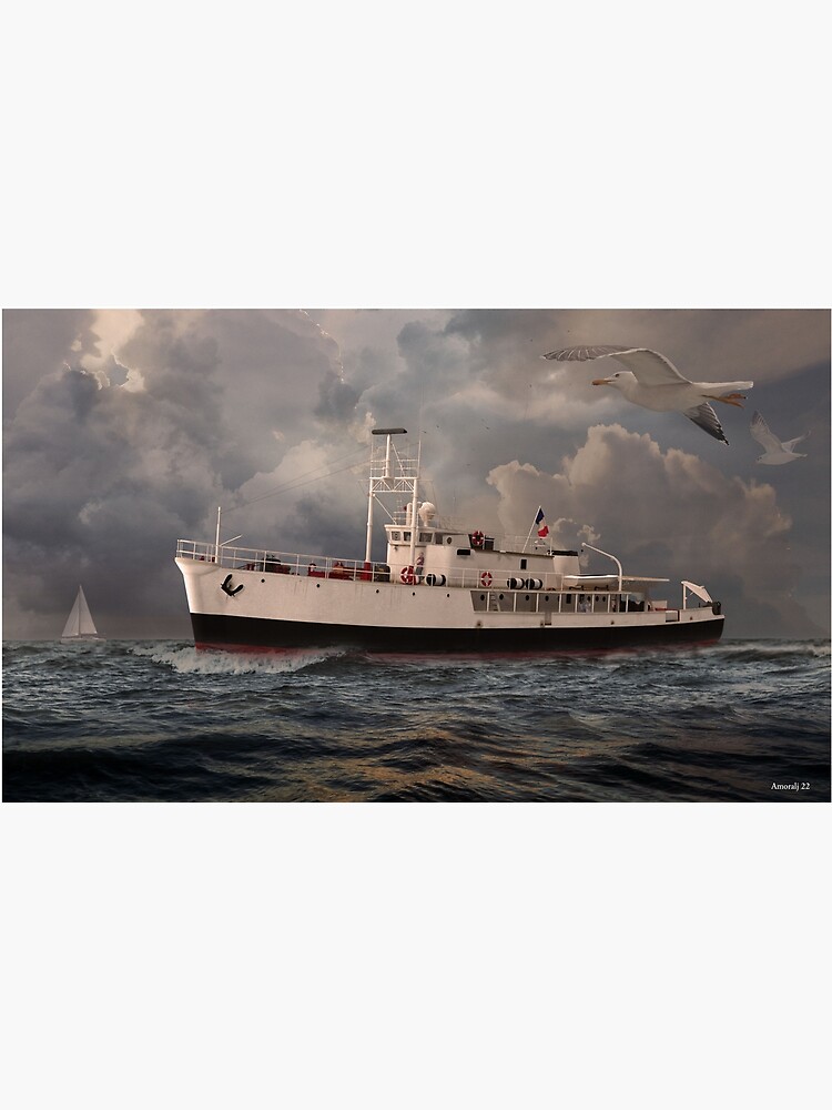 "Calypso" Poster for Sale by RCH429 | Redbubble