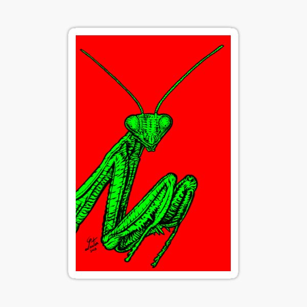 "PRAYING MANTIS .4" Sticker for Sale by lautir | Redbubble