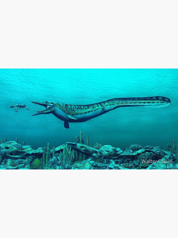 "Mosasaurs" Poster by Skyviper | Redbubble