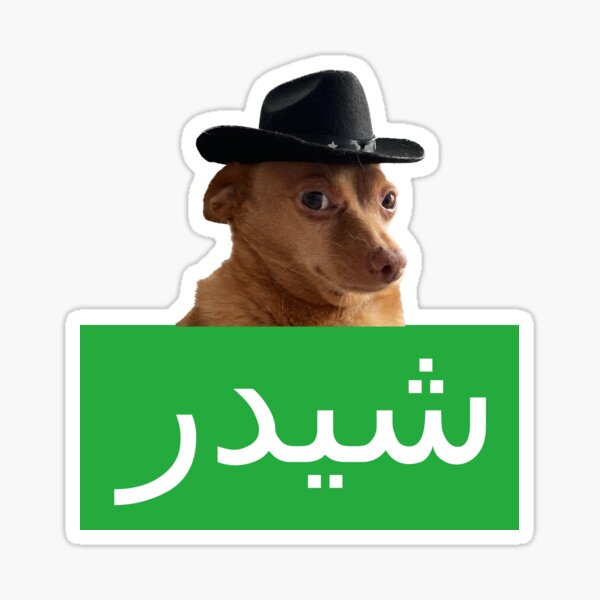 "Arabic Cheddar Box Logo" Sticker for Sale by Cheddariniii | Redbubble