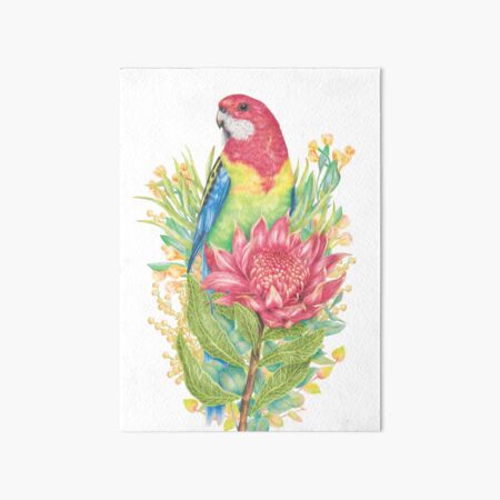 "Floral Eastern Rosella" Art Board Print for Sale by Kayla Reay | Redbubble