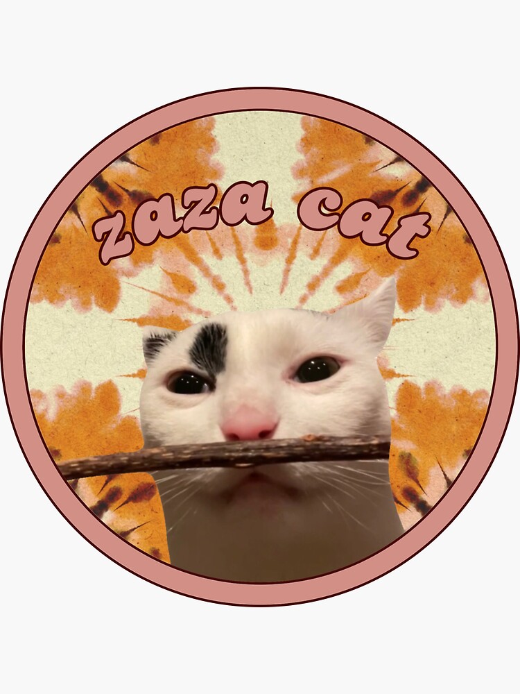 "Zaza Cat Crazy Round" Sticker for Sale by raymondthecat | Redbubble