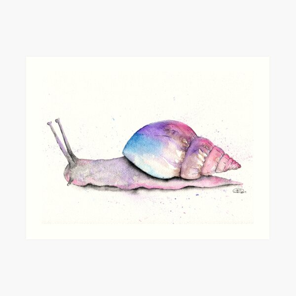 "Giant African Land Snail Watercolour" Art Print by TRichardsonArt ...