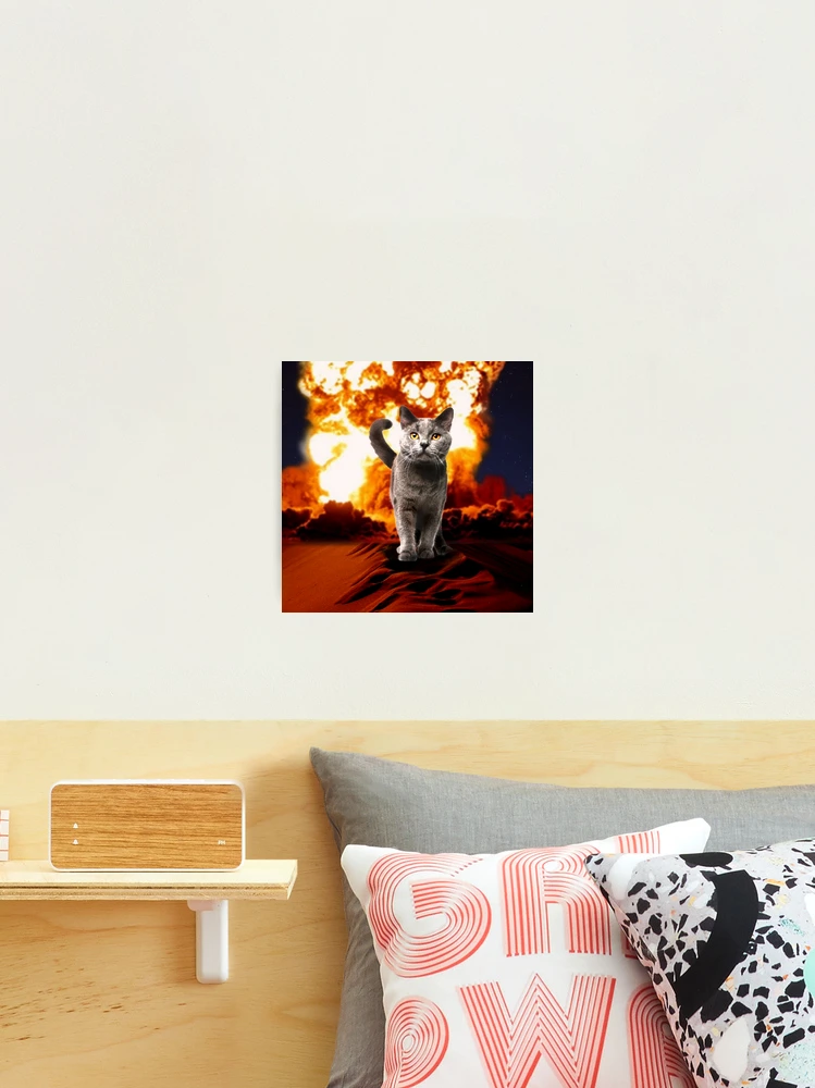 Quotcat Explosion Action Movie Crazy Art Galaxy Space Kitty
