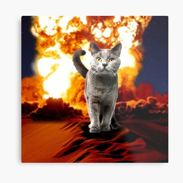 "Cat Explosion Action movie Crazy Art Galaxy Space kitty" by ...