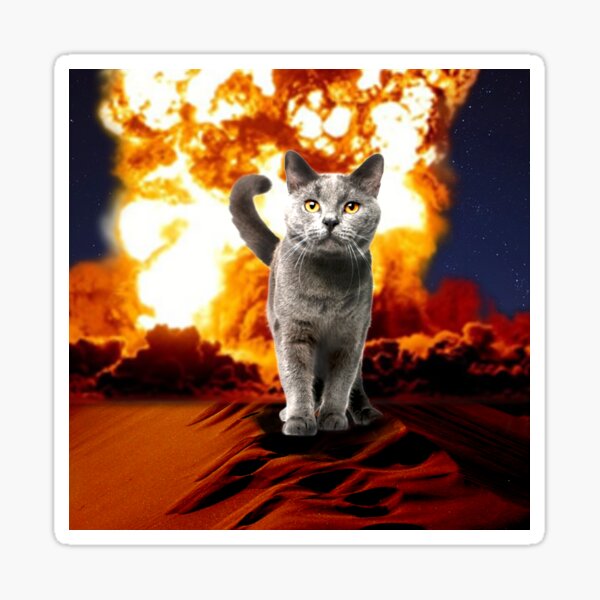 "Cat Explosion Action movie Crazy Art Galaxy Space kitty" by ...