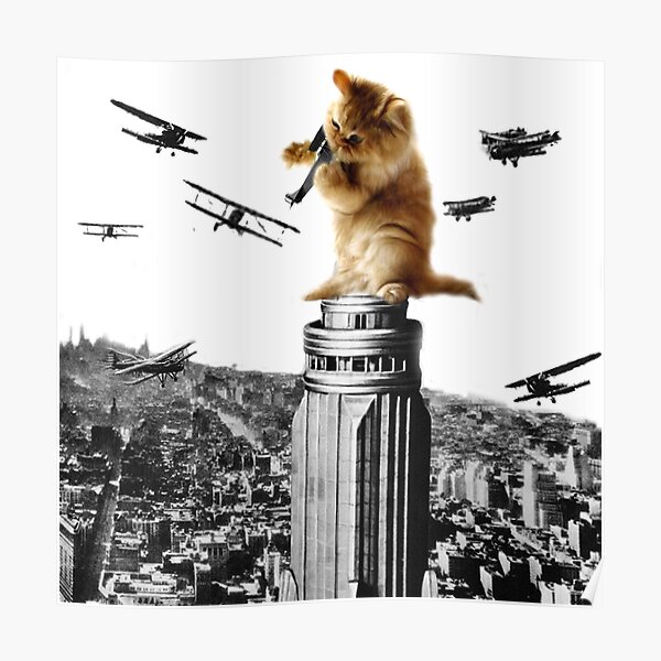 "Classic King Kong Scene Cat Kitty Attack Space Galaxy Crazy Airplane ...