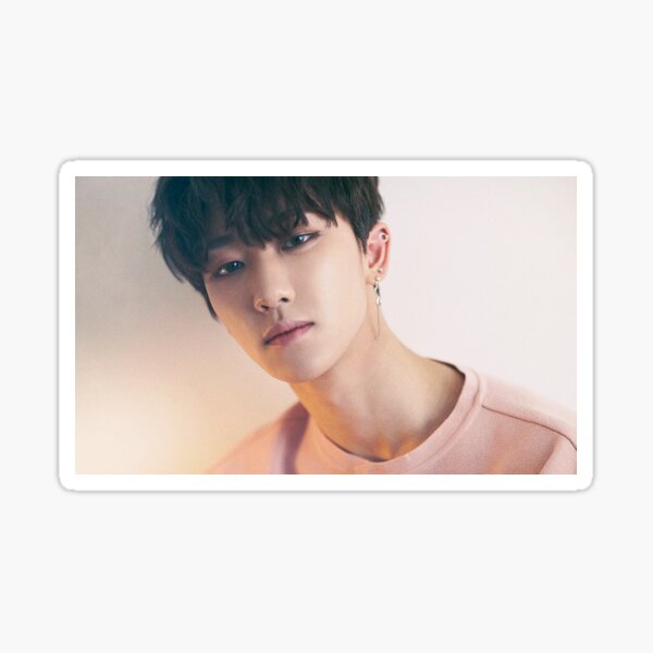 "SEVENTEEN DON'T WANNA CRY THE8" Sticker for Sale by SVTEMPORIUM ...