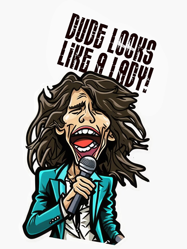 "Dude looks like a lady!" Sticker for Sale by fr4nk87 | Redbubble