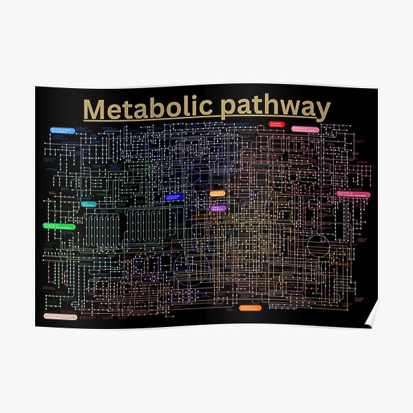 "Metabolic pathway of the cell" Poster for Sale by ScienceStores | Redbubble