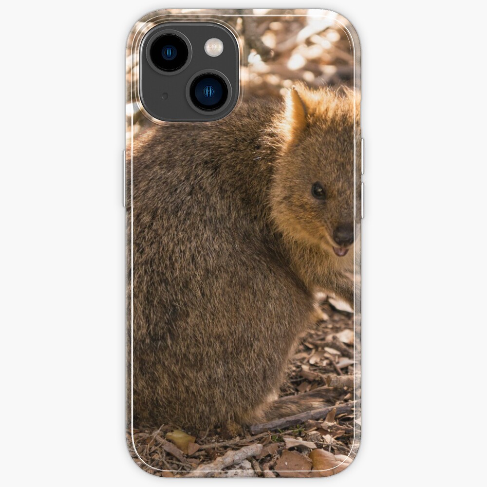 "Happy evil quokka" iPhone Case for Sale by antonium | Redbubble