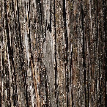 "Tree Bark Print" Art Board Print for Sale by HEARTBEATS | Redbubble