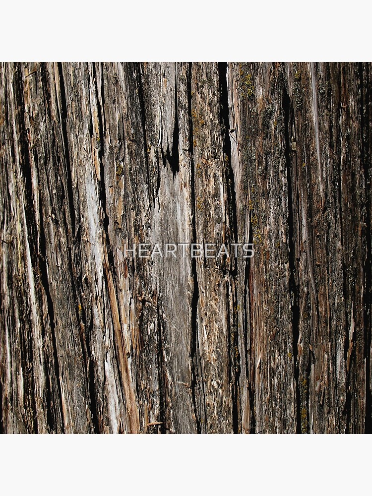 "Tree Bark Print" Art Board Print for Sale by HEARTBEATS | Redbubble