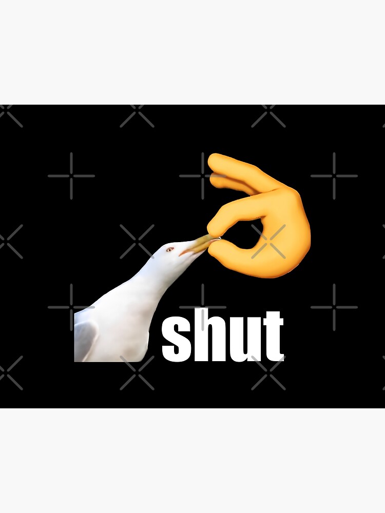 "Shut Bird Seagull Inhale Gull Funny Meme" Art Board Print for Sale by ...