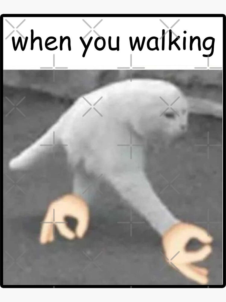 "when you walking meme" Sticker for Sale by Animagic0 | Redbubble