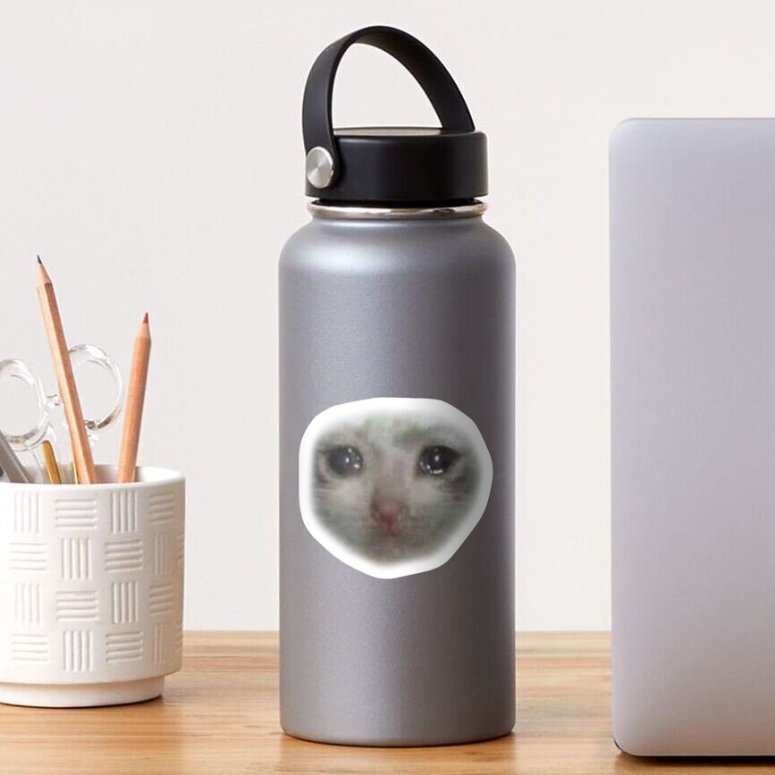 Crying Teary Eyed Sad Cat Meme Sticker For Sale By Cleverjane Redbubble