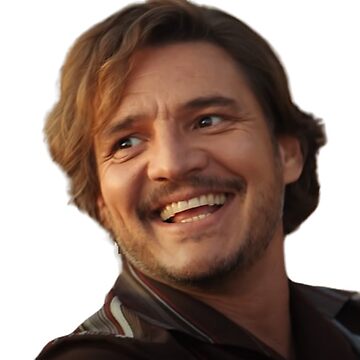 "Pedro Pascal Meme Face" Sticker for Sale by CupricDesignCo | Redbubble