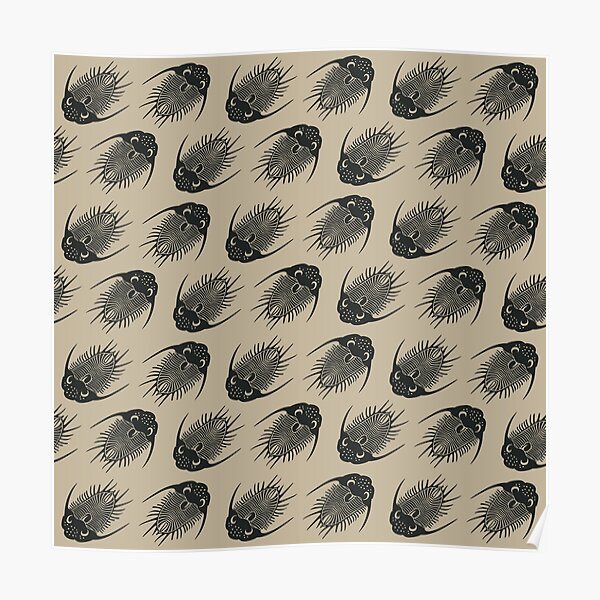 "Trilobite Fossils " Poster for Sale by MelvinWarEagle | Redbubble
