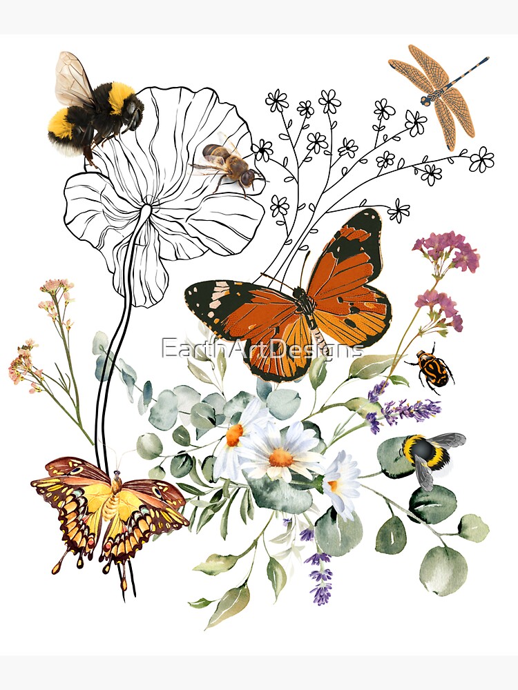 "Spring Pollinators Line Drawing With Colorful Wildflowers Design ...