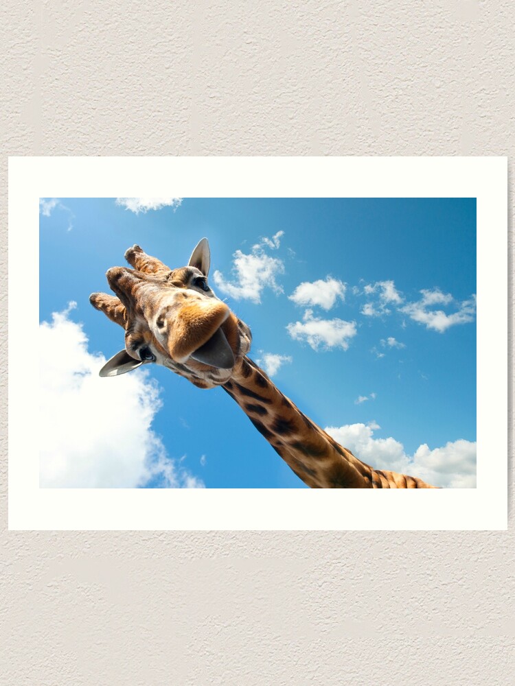 "Hello Giraffe!" Art Print for Sale by sallyrose1 | Redbubble
