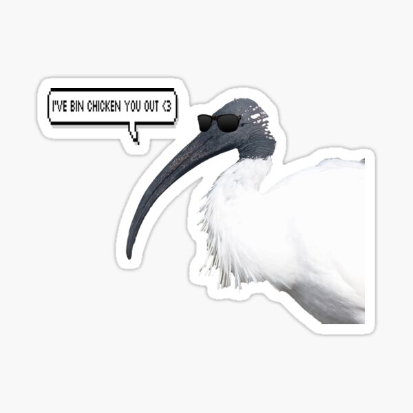 "Bin Chicken" Sticker for Sale by punked-toast | Redbubble