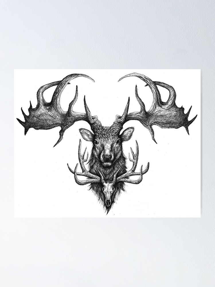 "Graham's Ghost - Irish Elk and Elk Skull" Poster by DanielleTrudeau ...