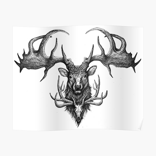 "Graham's Ghost - Irish Elk and Elk Skull" Poster by DanielleTrudeau ...