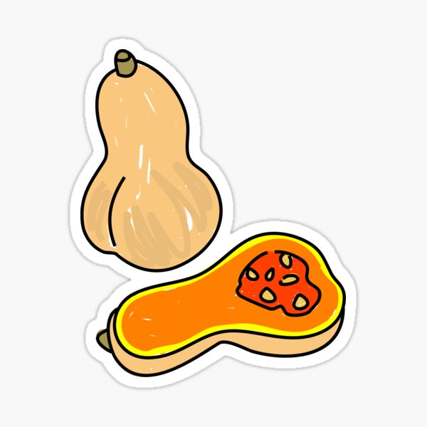 "Butternut Squash" Sticker for Sale by Prawny | Redbubble
