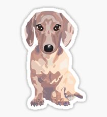 Dachshund: Stickers | Redbubble