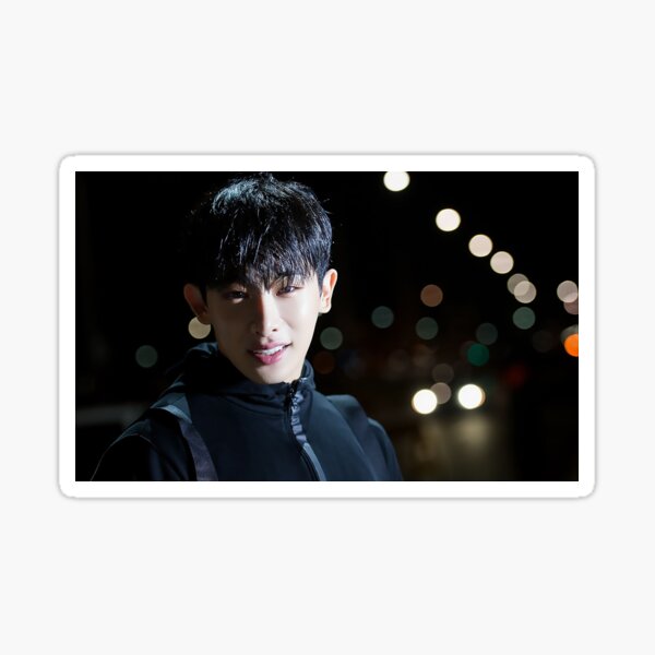 "Wonho" Sticker by baekgie29 | Redbubble