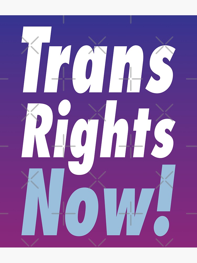 "Trans Rights Now" Stickerundefined by fezztee | Redbubble