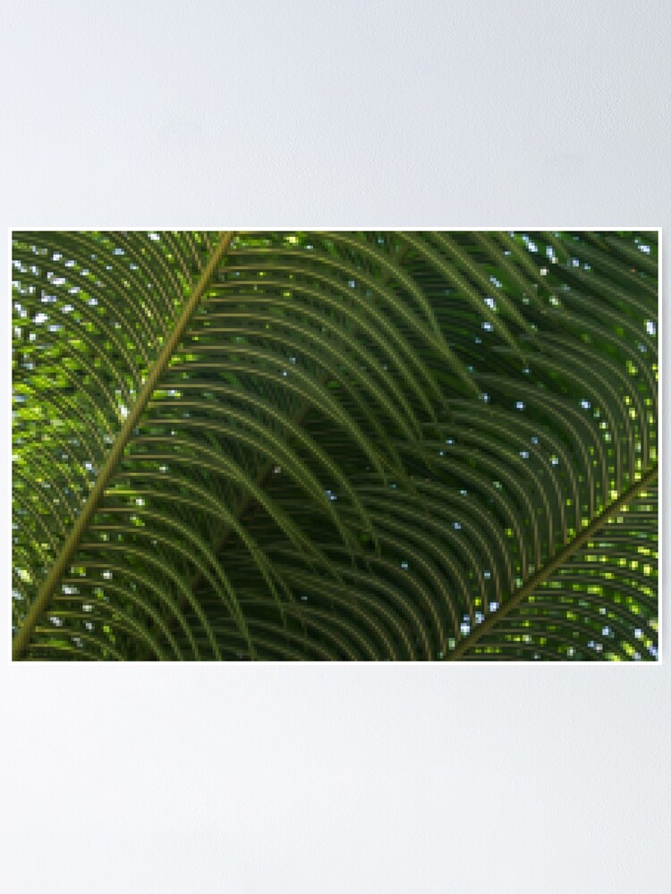 "A Pixelated Fern Experience ©" Poster by PrinceJohn | Redbubble
