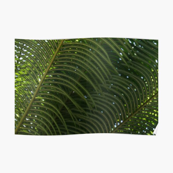 "A Pixelated Fern Experience ©" Poster by PrinceJohn | Redbubble