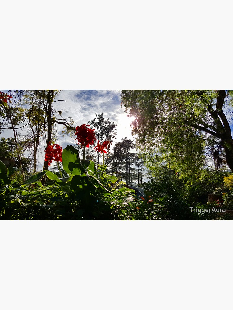 "High Noon" Sticker for Sale by TriggerAura | Redbubble