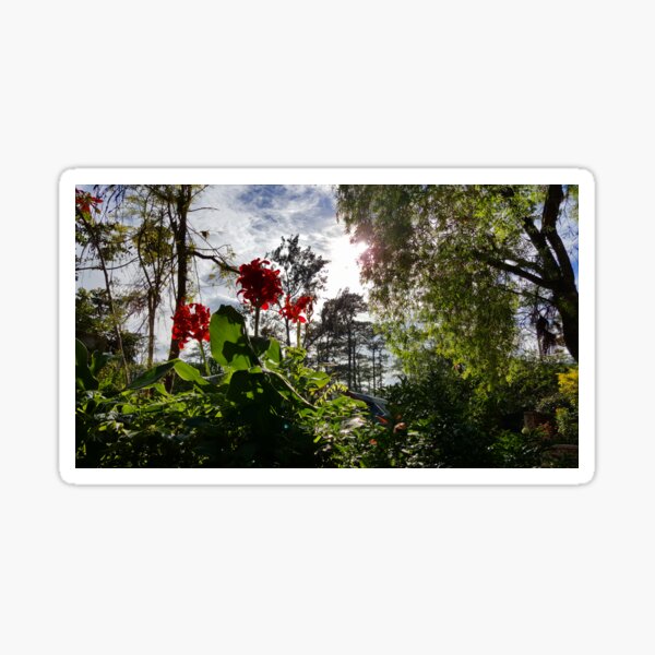 "High Noon" Sticker for Sale by TriggerAura | Redbubble