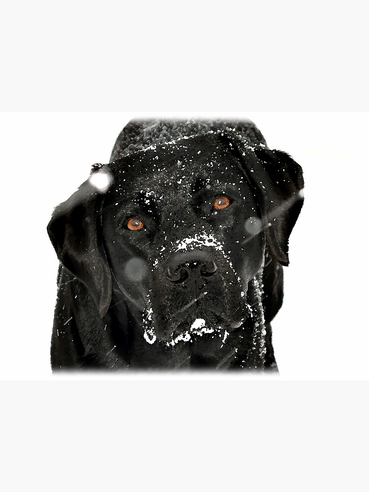 "Snow Globe - Black Labrador " Poster for Sale by BlackDogArtJudy ...