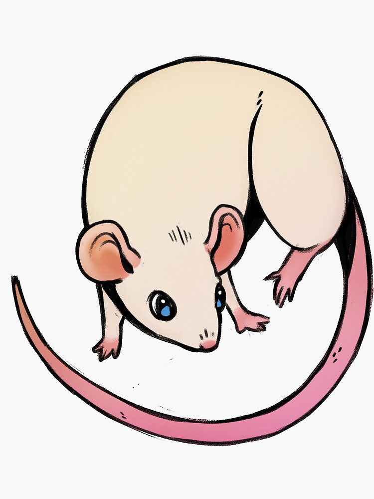 "White Rat" Sticker for Sale by ArtofZue | Redbubble