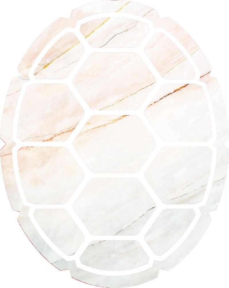 "Maryland Terrapin Shell Marble" by nishades | Redbubble