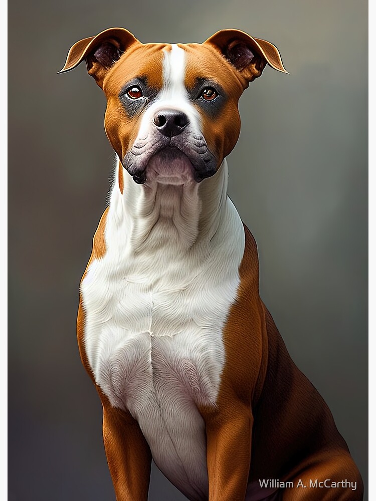 AmStaff American Staffordshire Terrier Dog Portrait Wall Art Printable ...