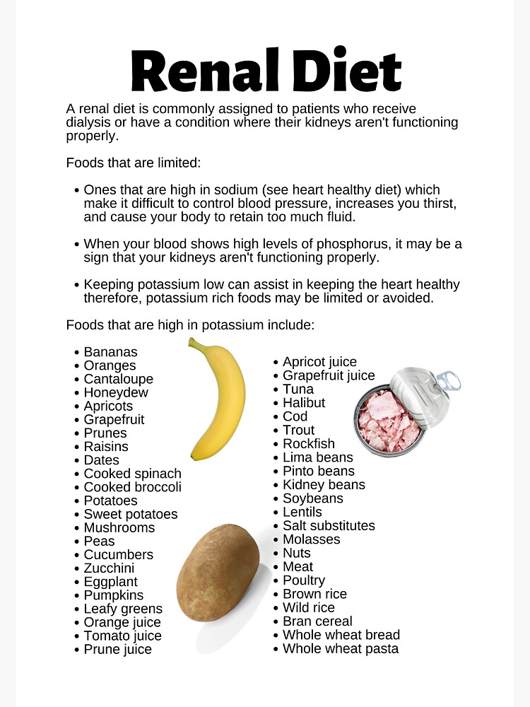 "Renal Diet Infographic" Sticker for Sale by Caregiverology | Redbubble